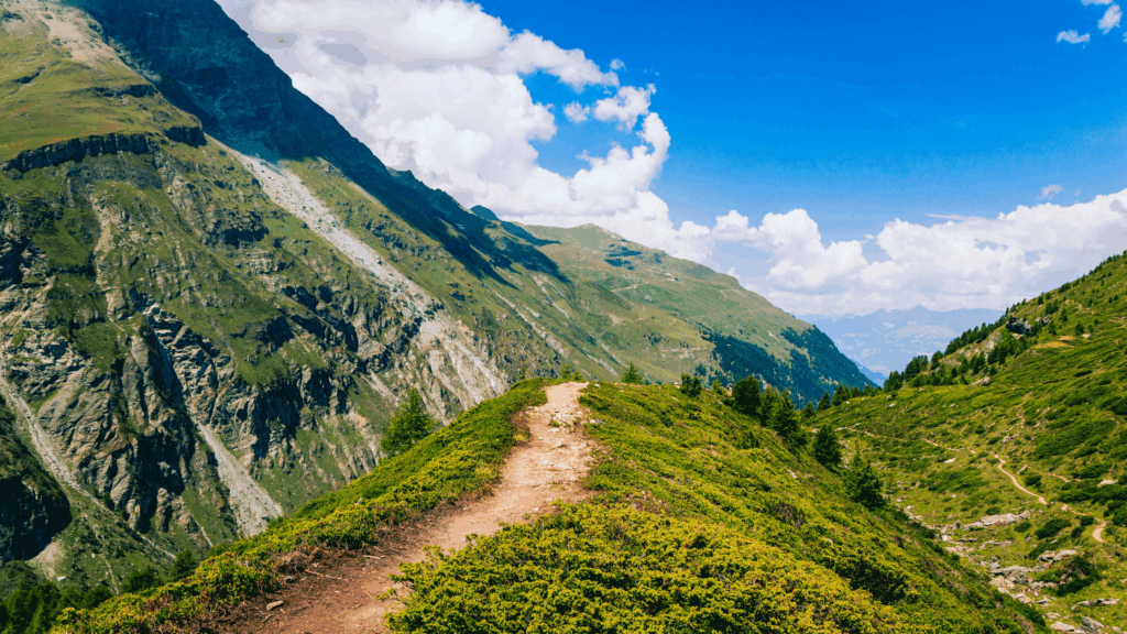 Why Performance Reviews Fall Short—and How a T-Shaped Role Model Makes ...